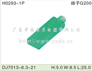 DJ7013-6.3-21-Plastic 1 hole-Guangdong Zhongnan Electronic Appliance Co., Ltd.