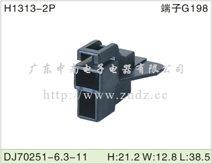 Plastic 2 hole-Guangdong Zhongnan Electronic Appliance Co., Ltd.